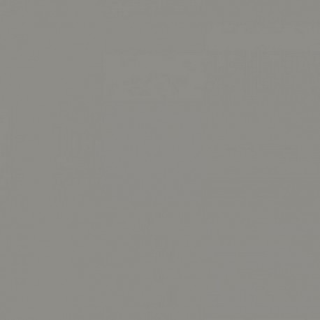 GRIS FENDT POT Aérosol de peinture 400ml- Tracto Pieces