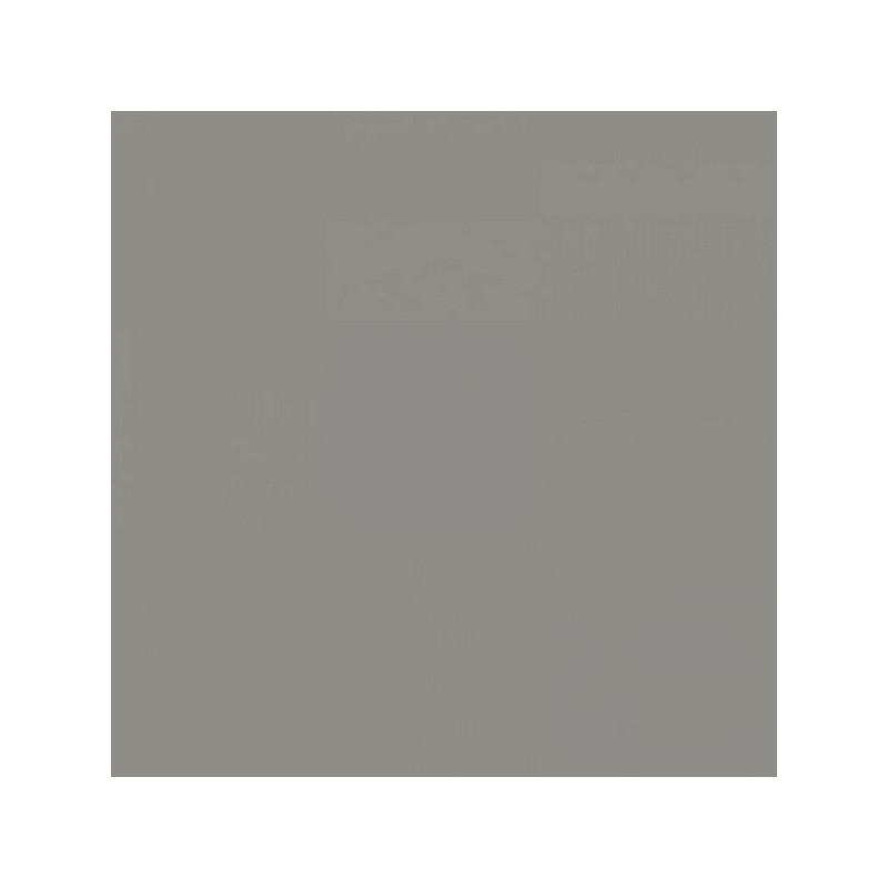 GRIS FENDT POT Aérosol de peinture 400ml- Tracto Pieces