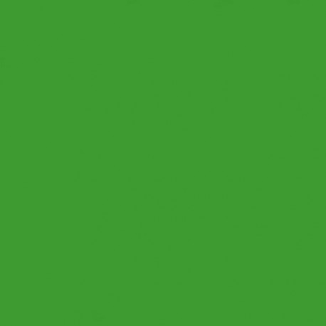 VERT CLAIR DEUTZ AEROSOL 400 ML - Tracto Pieces