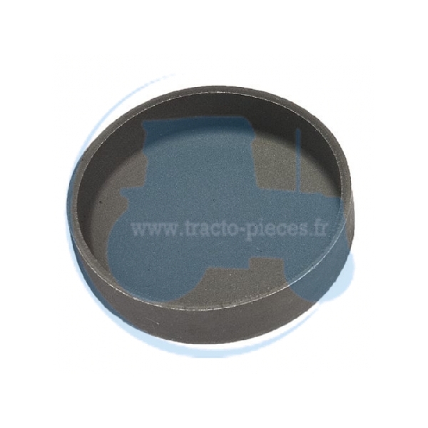 PASTILLE pour ponts Z F - Tracto Pieces